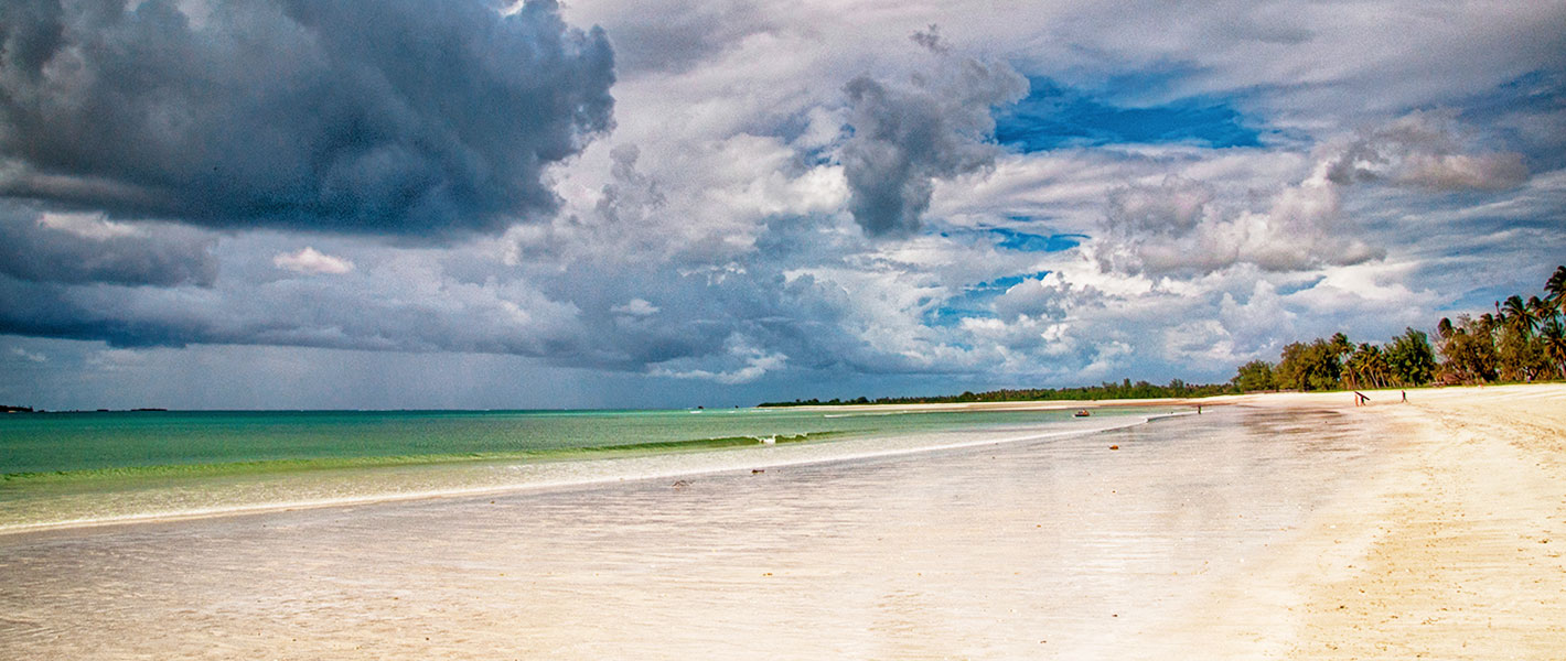 Safari Solutions - Tanzania's Best Safari Agent